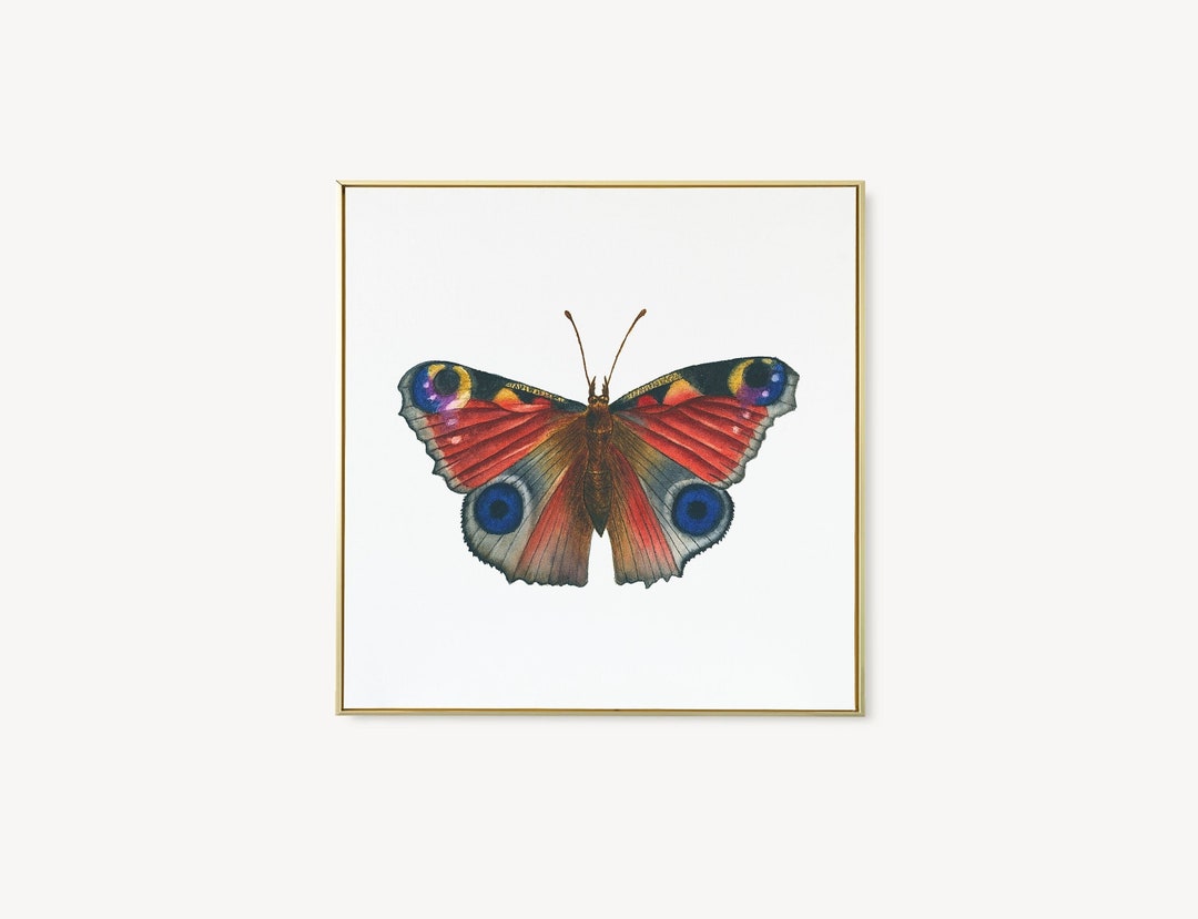 Art Print of Original Painting Butterfly Botanical Art Watercolor ...