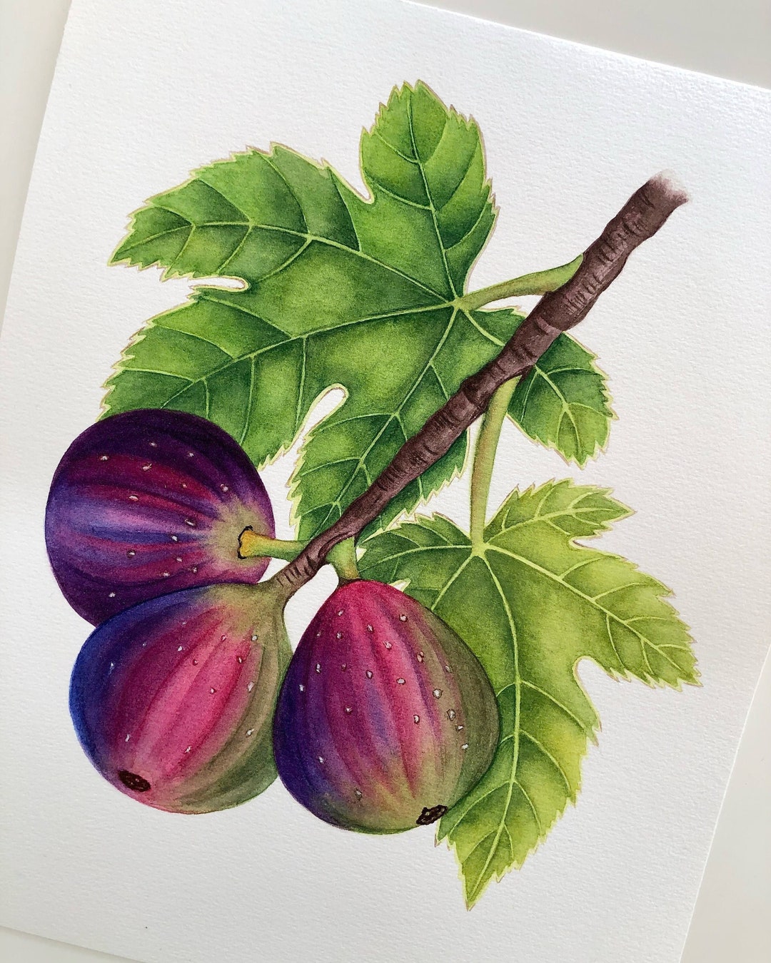 Fig Branch Original Painting • Watercolor Art • Botanical Art ...
