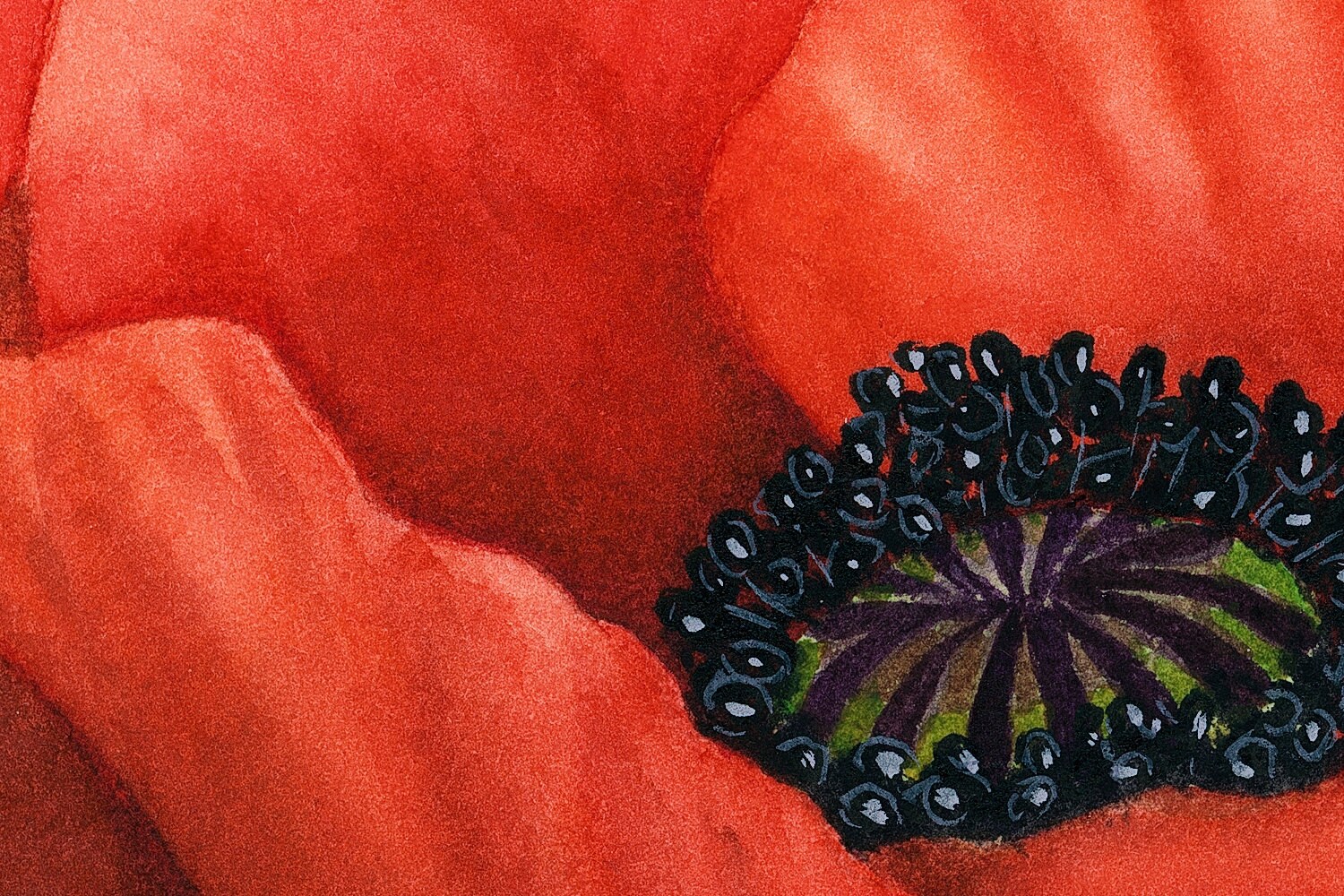 Poppy Original Painting Botanical Art Watercolor Poppy Flower Poppy ...
