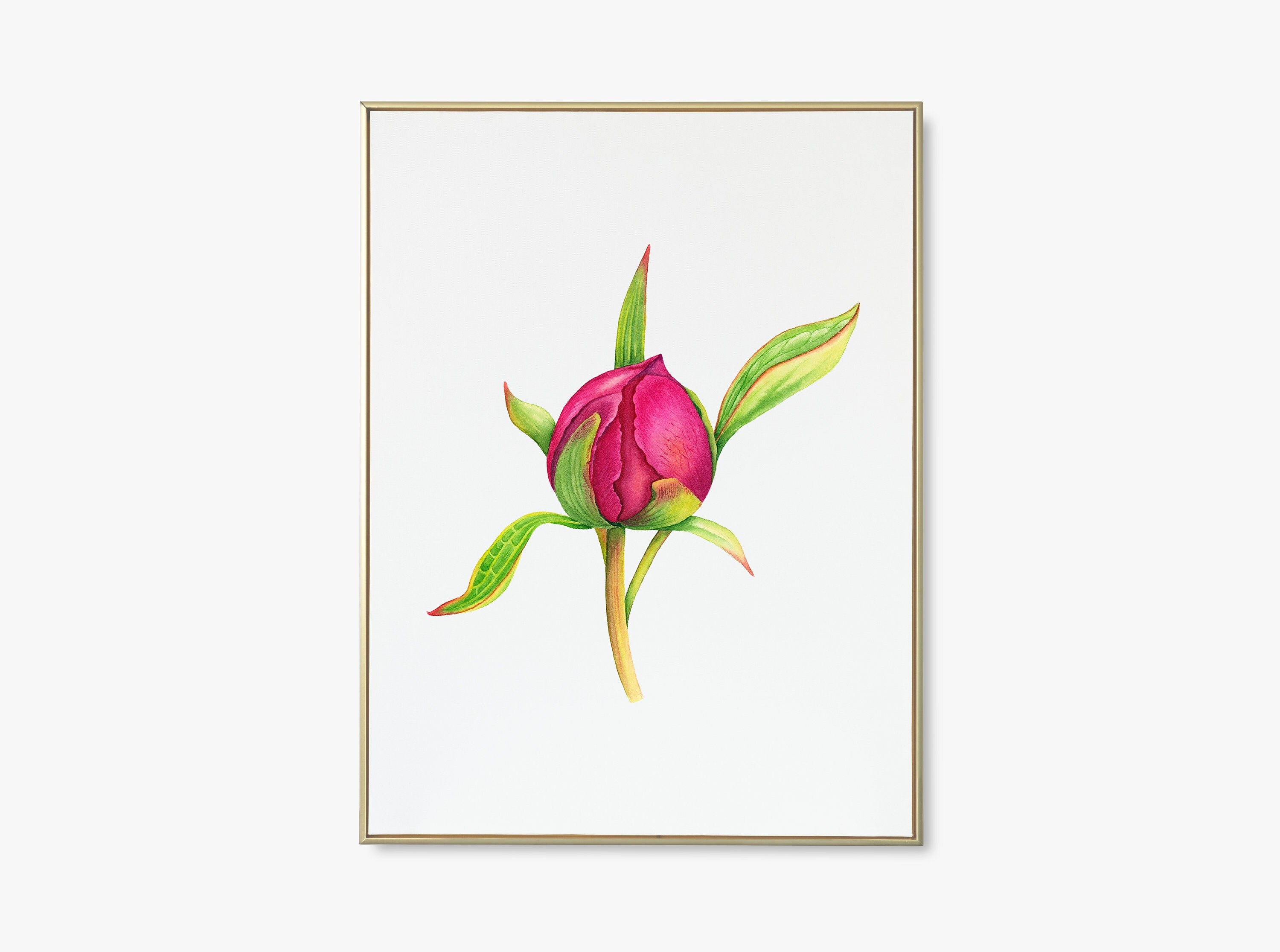 Peony Original Painting • Botanical Art • Watercolor Peony • Peony Fine ...