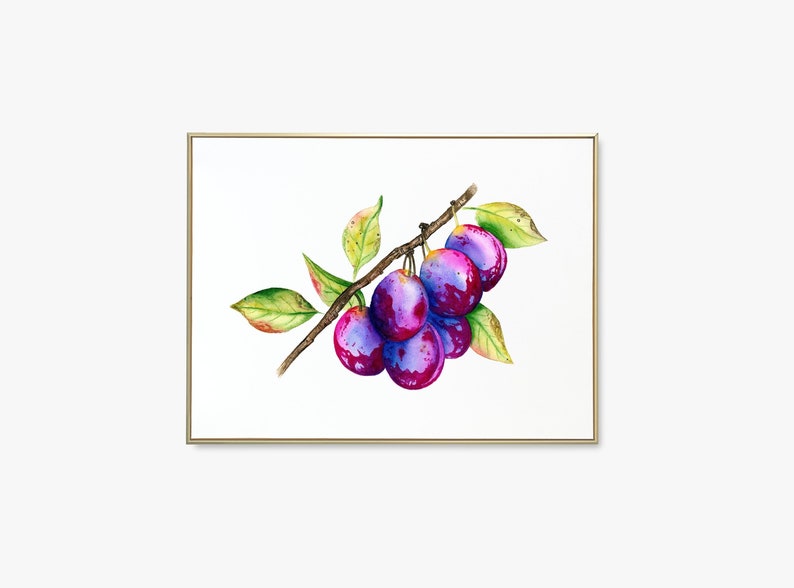 Plum Original Painting • Botanical Art • Watercolor Plum • Plum Fine ...