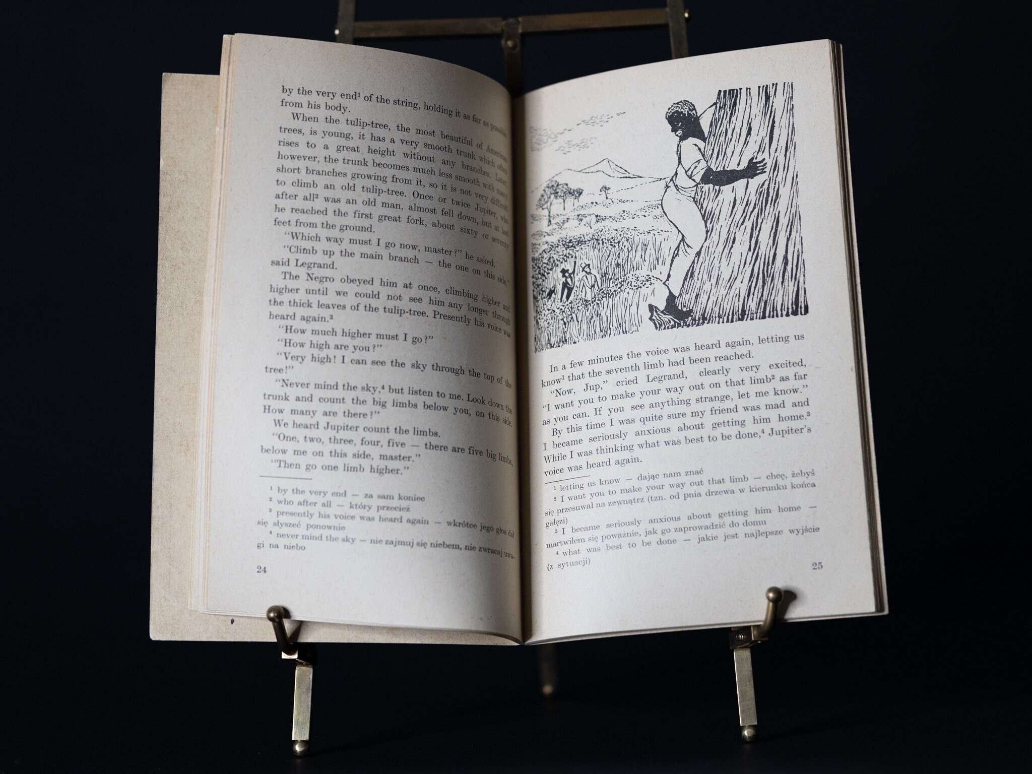 Vintage Rare Poe Book the Gold Bug by Edgar Allan Poe Adapted by Wanda ...