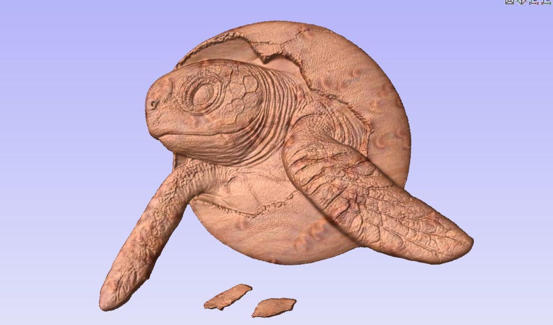 Turtle Hatching STL File 3D Model for CNC - Etsy