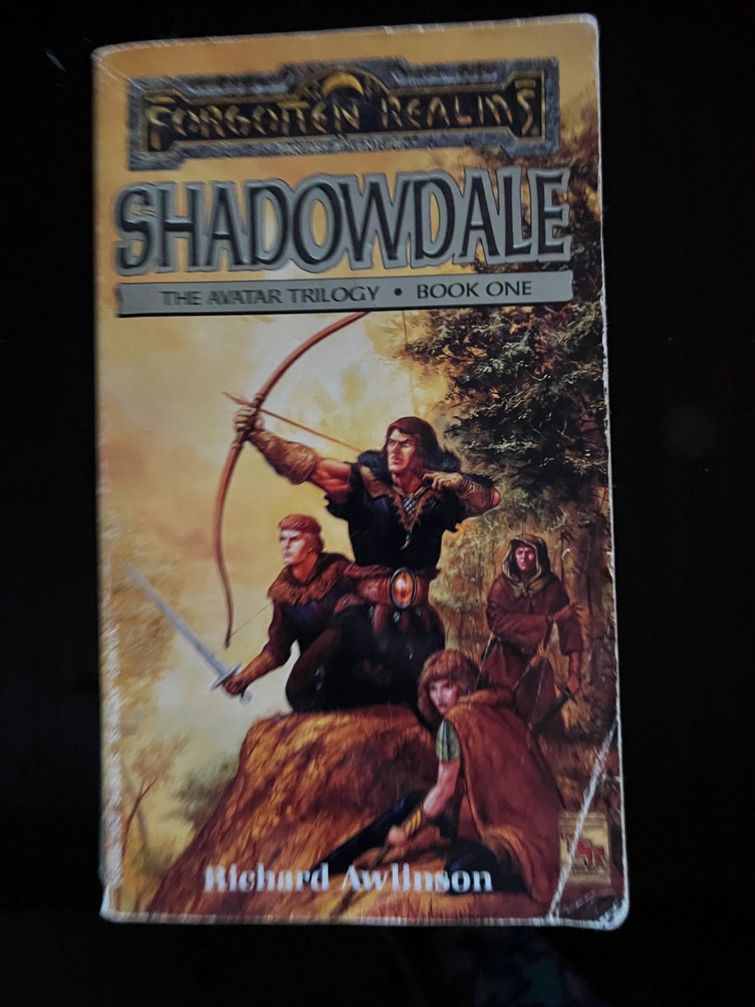 Shadowdale Forgotten Realms Avatar Trilogy Book 1 Richard Awlinson - Etsy