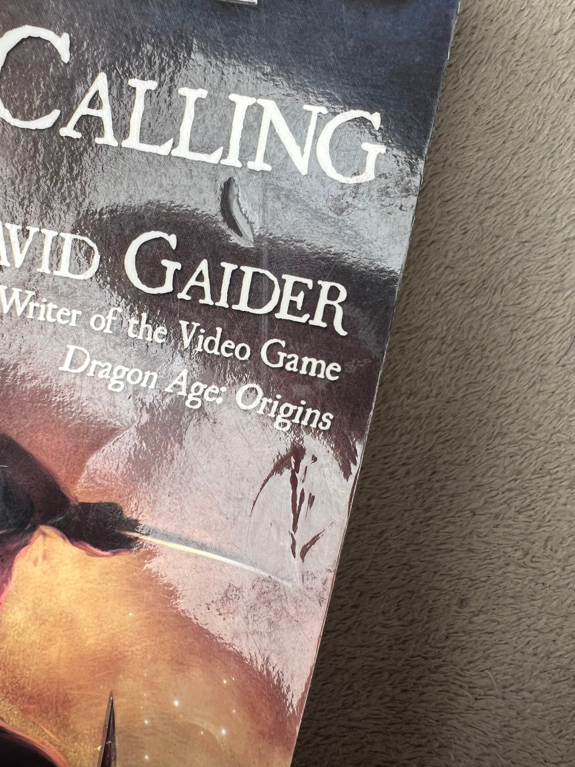 Dragon Age the Calling David Gaider - Etsy
