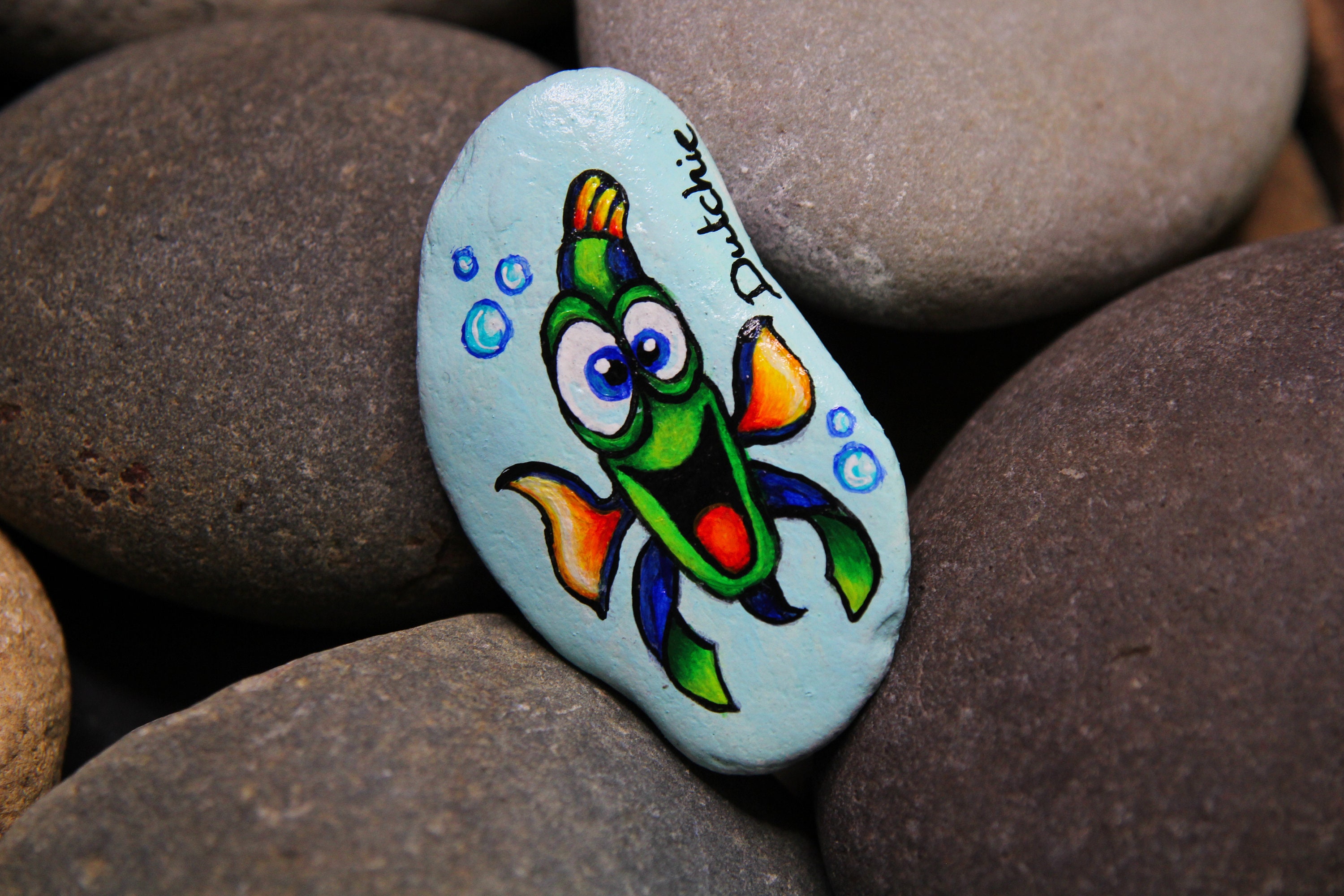 Hand Painted Acrylic Fish Rocks - Etsy