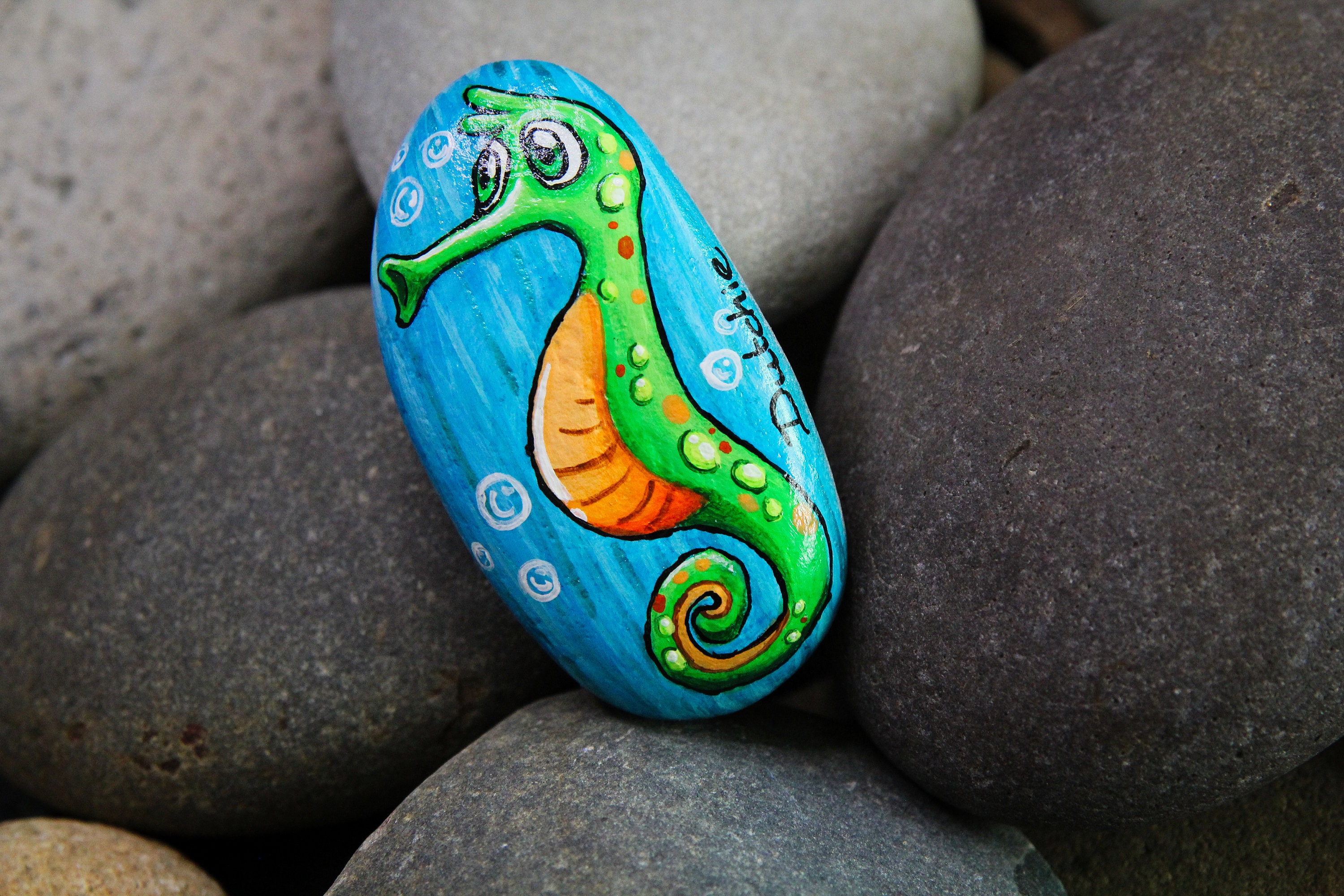 Hand Painted Acrylic Fish Rocks - Etsy