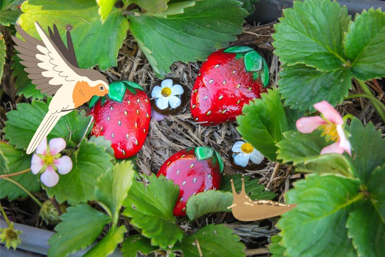 Strawberry Rocks, Set of 5 | Gardening Rocks | Hand Painted ...