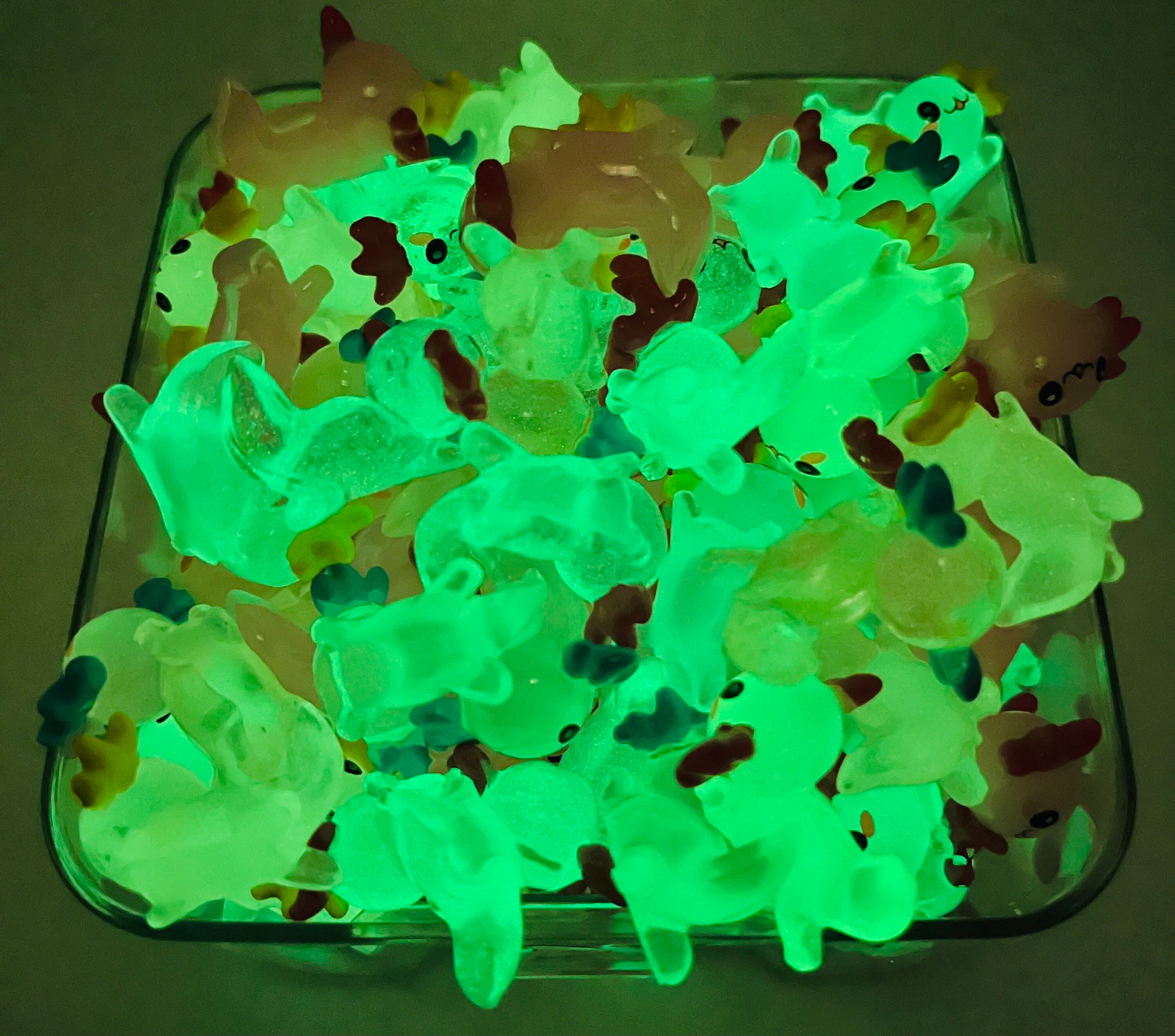 Axolotl Party Charms Resin Glow in the Dark Slime Bow - Etsy