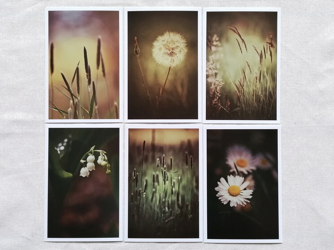 Postcard Set Nature Vintage Art Postcards Vintage Photo Postcards ...
