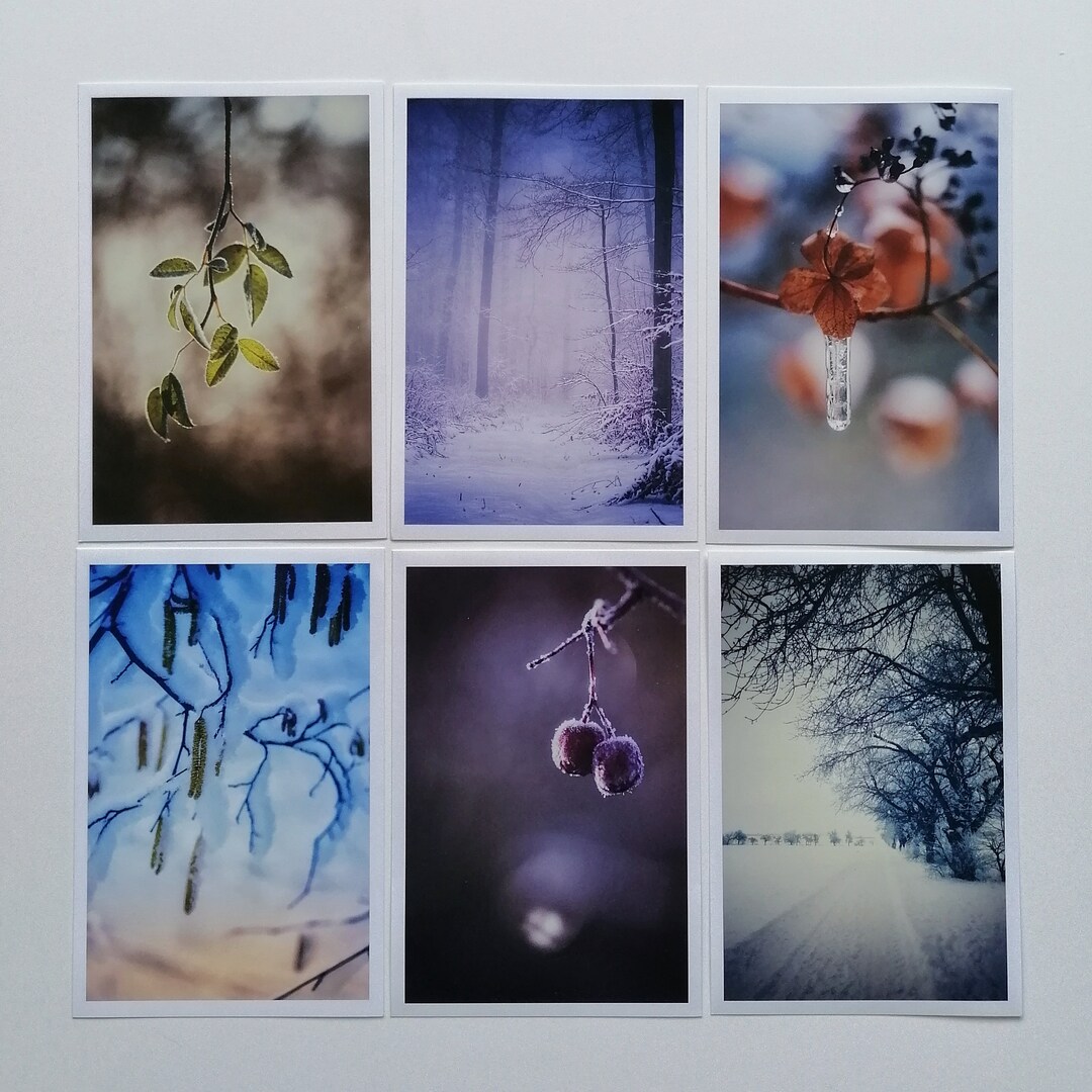 Christmas Postcard Set Christmas Greetings Postcards Christmas Photo ...