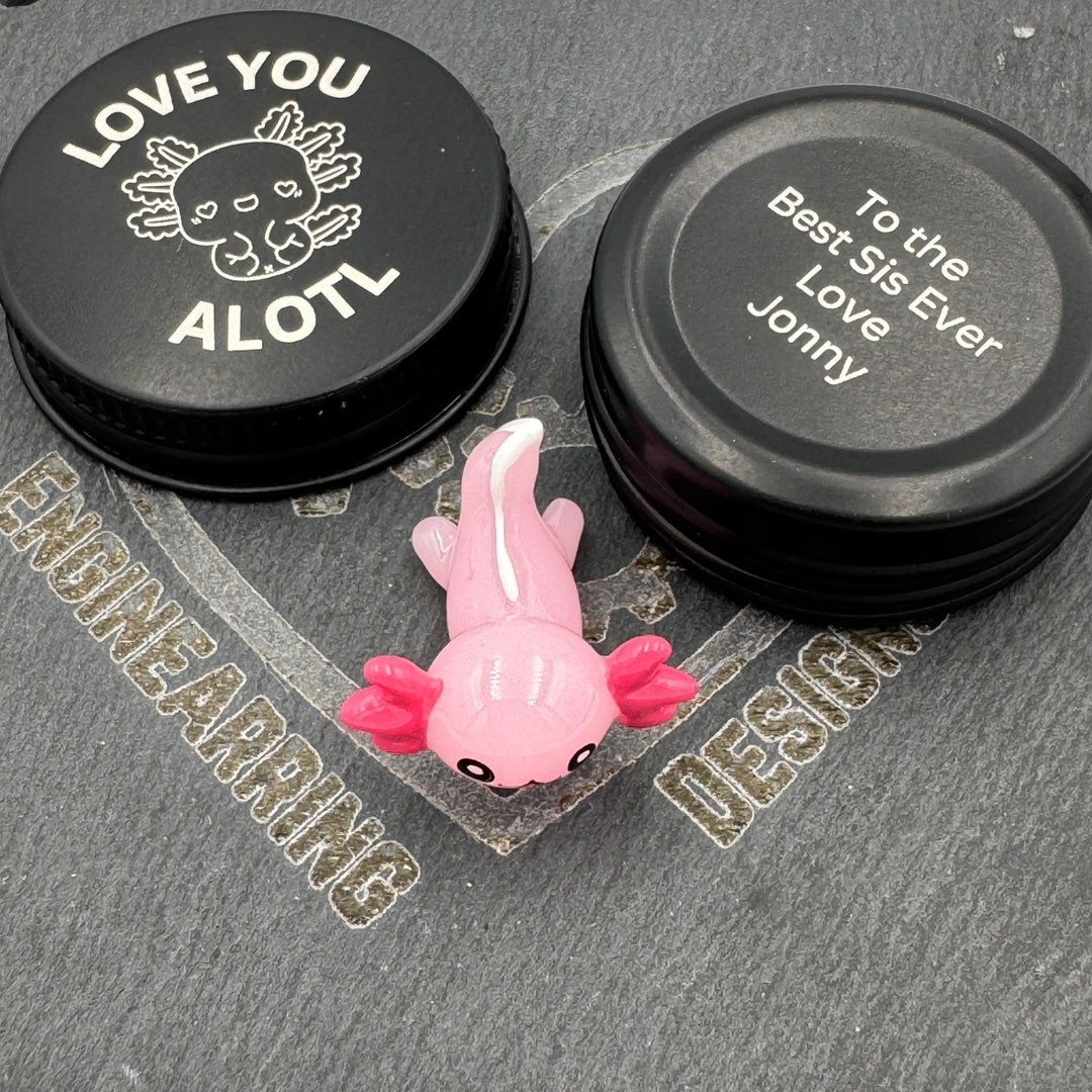 Personalised Axolotl Pocket Pal. Custom Marine Animal Buddy in a Tin. I ...