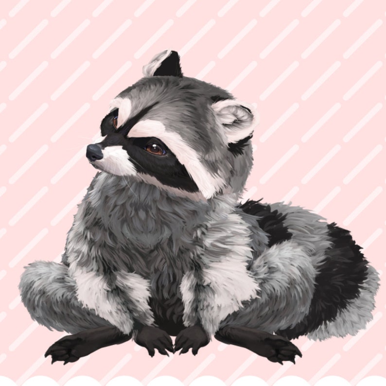 Racoon Vtuber Avatar Full Body/fully Rigged Live2d Model - Etsy