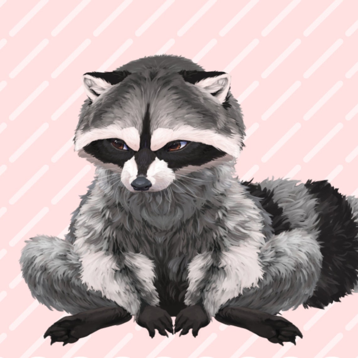 Racoon Vtuber Avatar Full Body/fully Rigged Live2d Model - Etsy