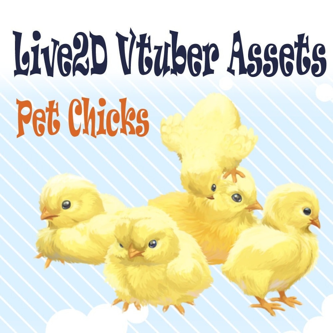 Set Of Chicks Live2d Vtuber Asset Pack Etsy