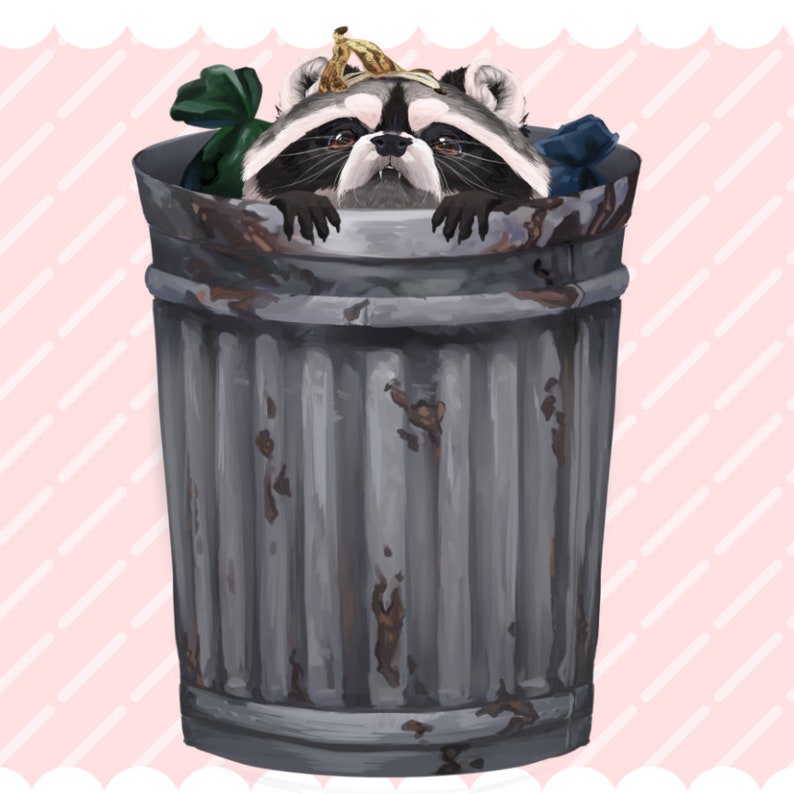 Racoon Vtuber Avatar - Full Body/fully Rigged Live2d Model - Etsy