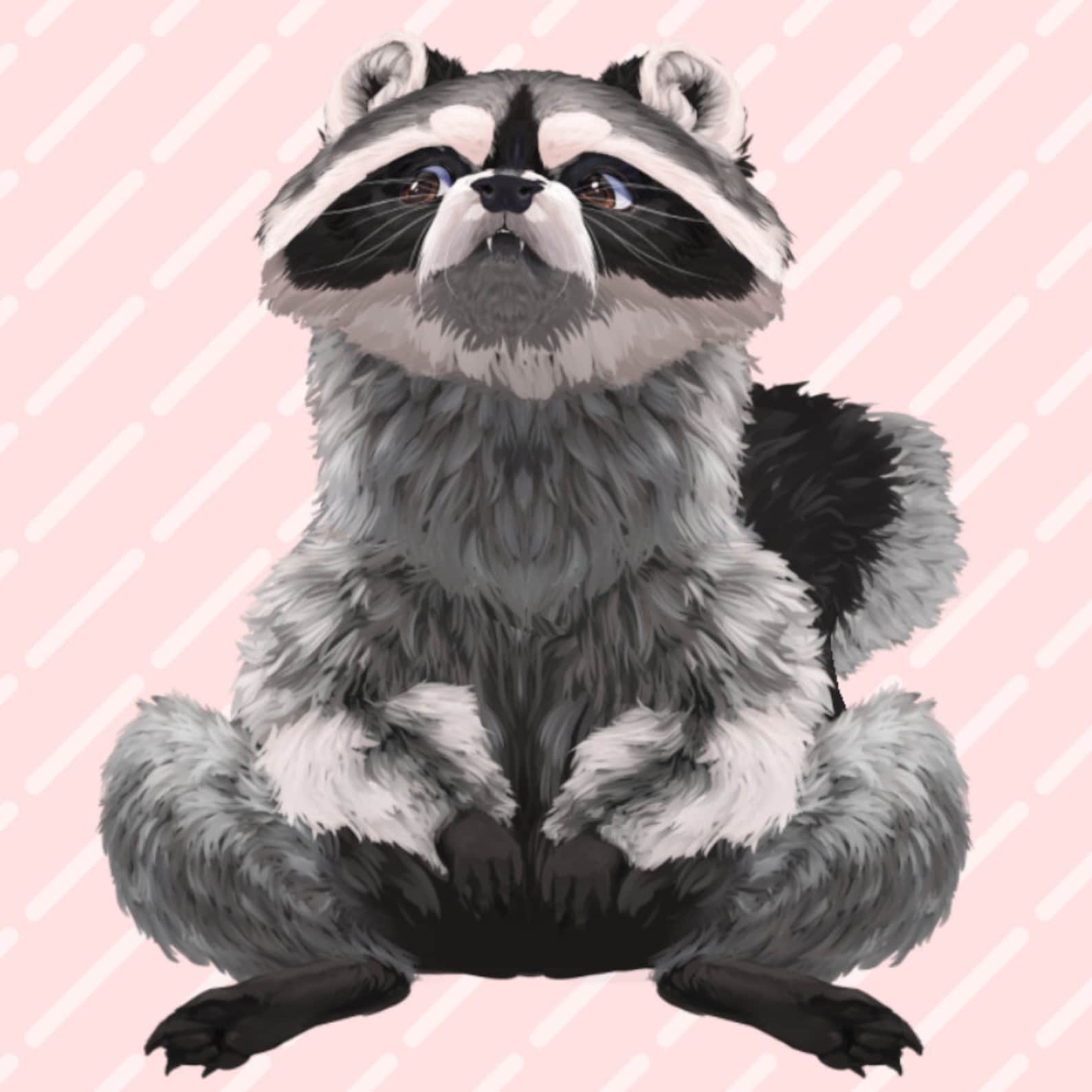Racoon Vtuber Avatar Full Body/fully Rigged Live2d Model - Etsy UK