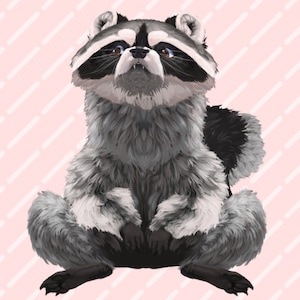 Racoon Vtuber Avatar - Full Body/fully Rigged Live2d Model - Etsy