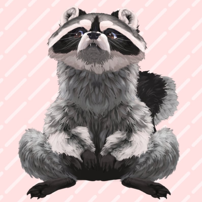 Racoon Vtuber Avatar Full Body/fully Rigged Live2d Model - Etsy