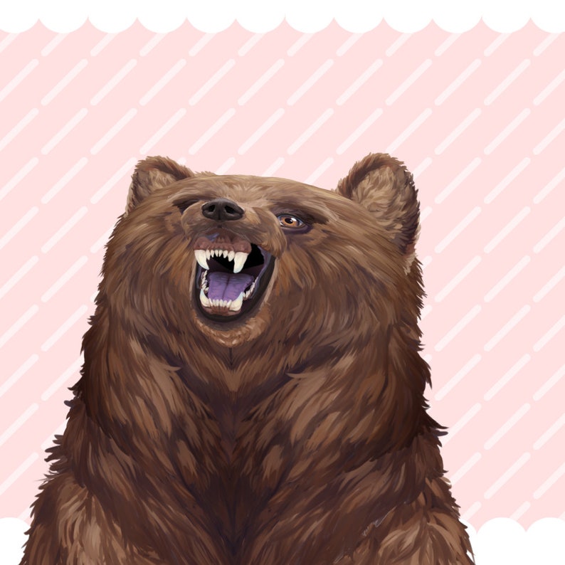 Grizzly Bear Vtuber Avatar - Full Body/fully Rigged Live2d Model - Etsy
