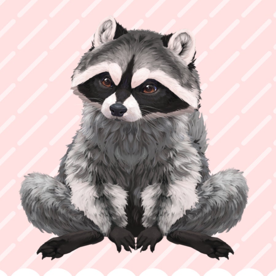 Racoon Vtuber Avatar - Full Body/fully Rigged Live2d Model - Etsy