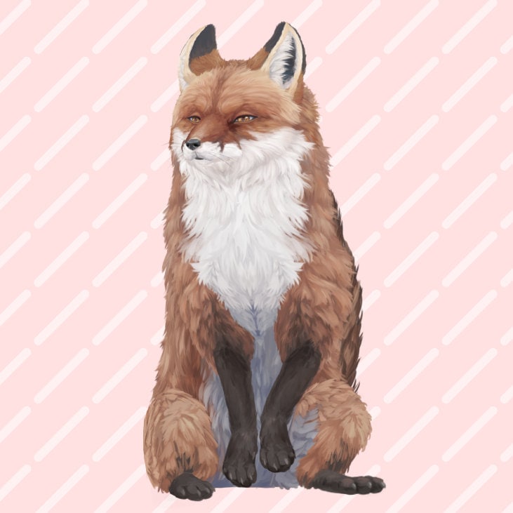 Fox Vtuber Avatar Full Body/fully Rigged Live2d Model With - Etsy Canada