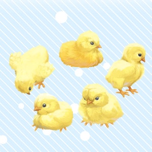 Set of Chicks- Live2d Vtuber Asset Pack - Etsy