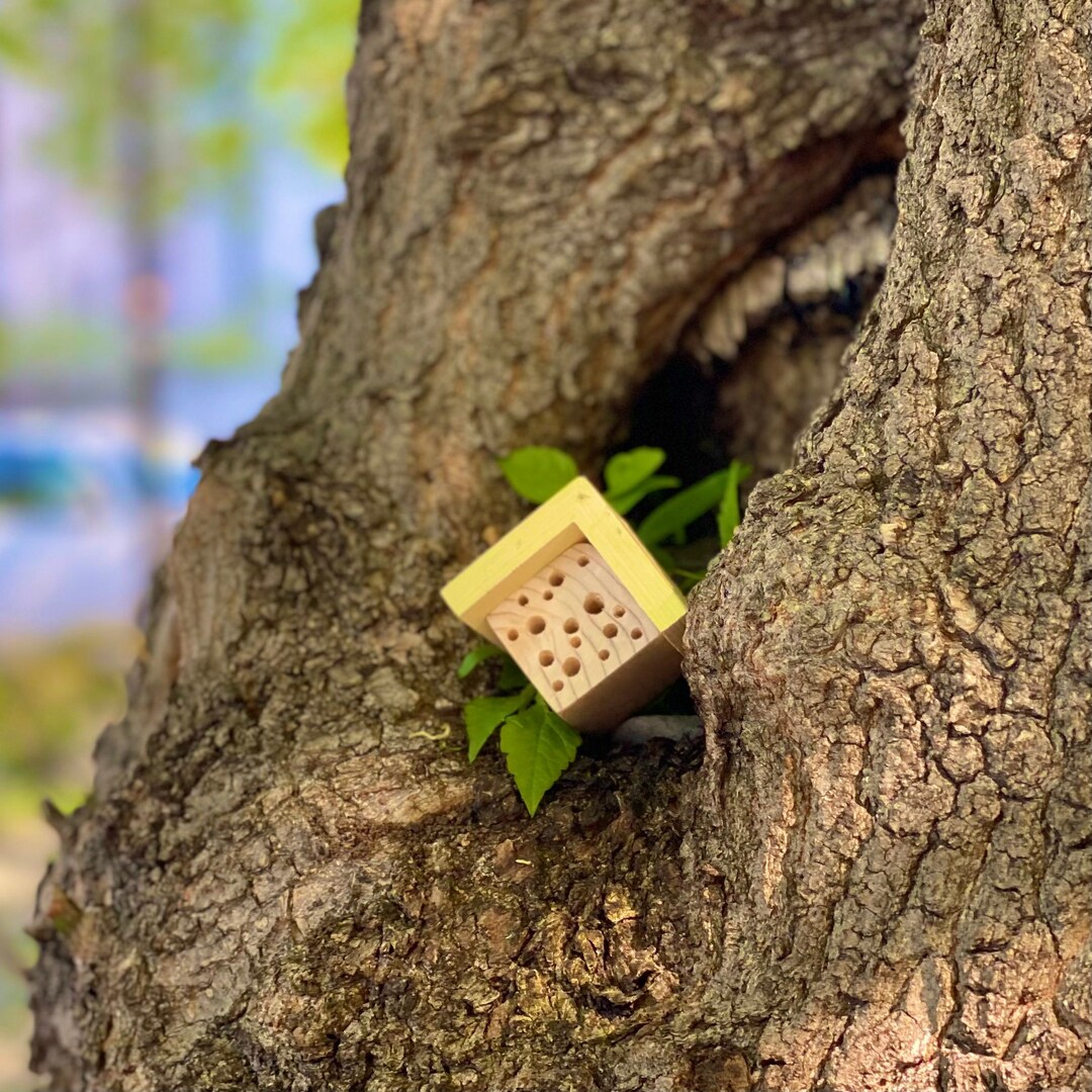 Nano Apoidea VANILLA Bee Bug and Insect Hotel Pollinators - Etsy