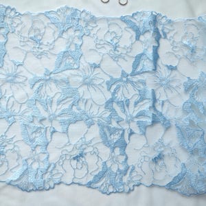 Light Blue Floral Embroidery Lace: Transparent Tulle Trim (10.2" Wide ...