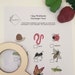 I-spy Minibeasts Scavenger Hunt Printable Insects Bug Hunt Children's ...