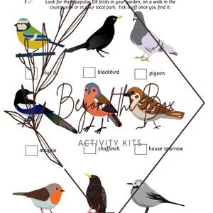 I-spy Garden Birds Scavenger Hunt Printable Download Children's ...