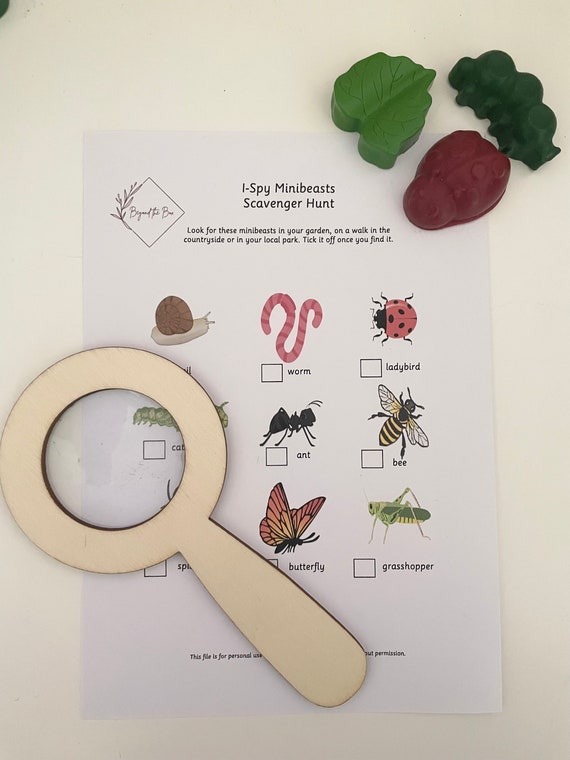 I-spy Minibeasts Scavenger Hunt Printable Insects Bug Hunt | Etsy