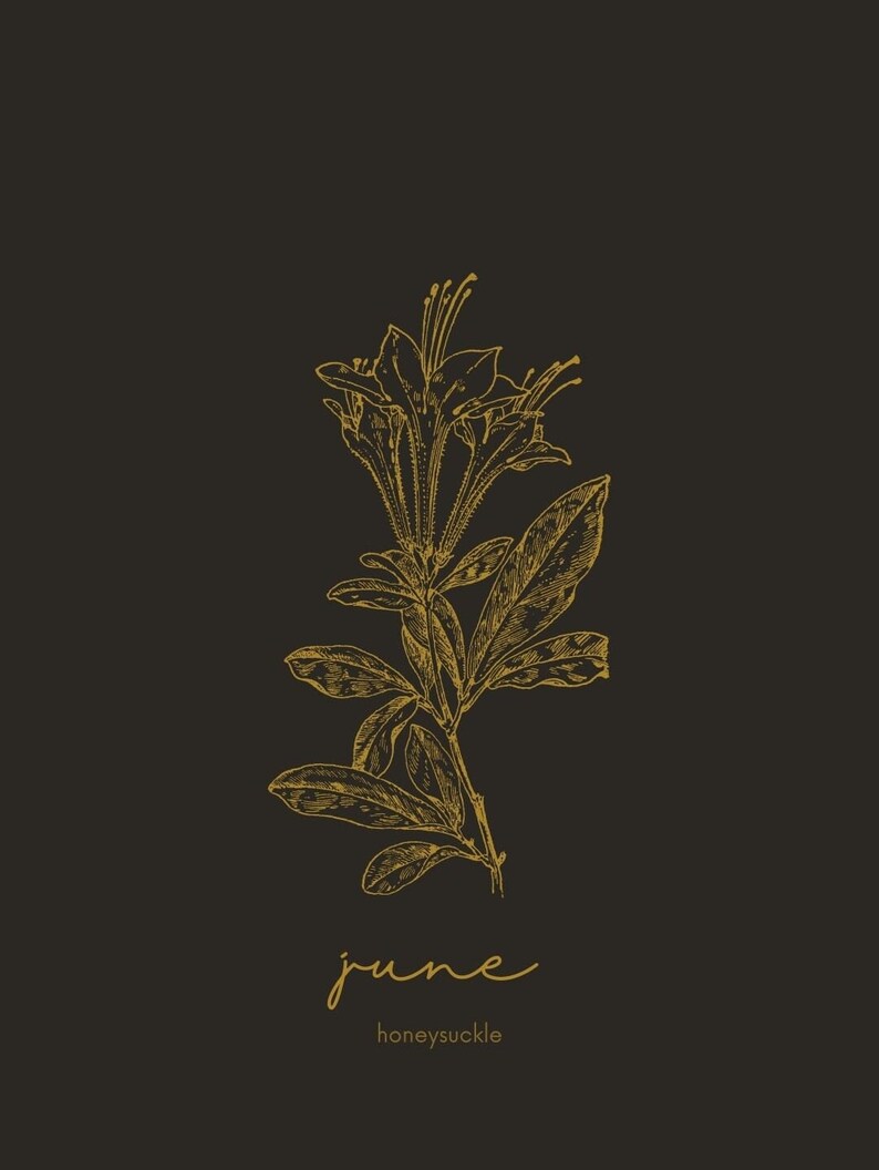 Birth Flower Phone Wallpaper Bundle Downloadable Screensaver - Etsy