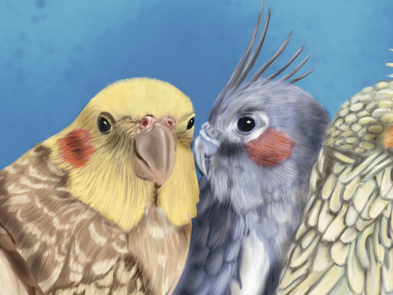 PRINTABLE Cockatiels Digital Art Download for Wall Art, Crafts, and ...