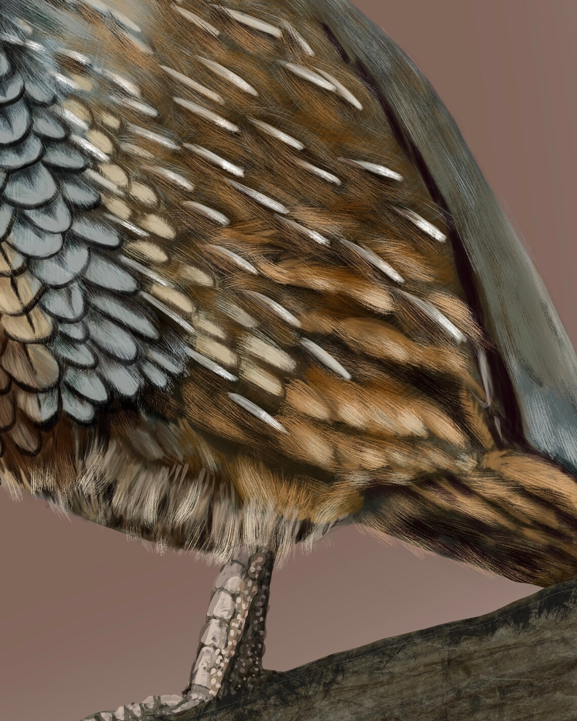 PRINTABLE California Quail Digital Art Download for Wall Art, Crafts ...
