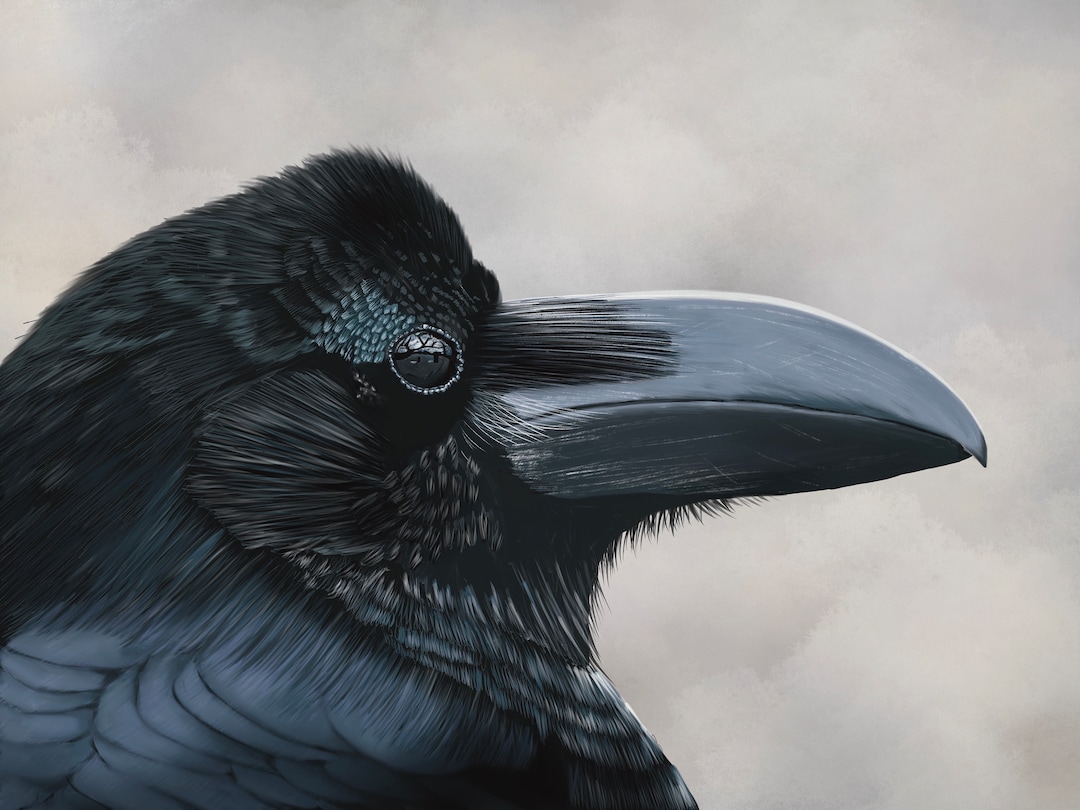 Handsome Raven - Digital Download - Original Artwork - Various Sizes - Etsy