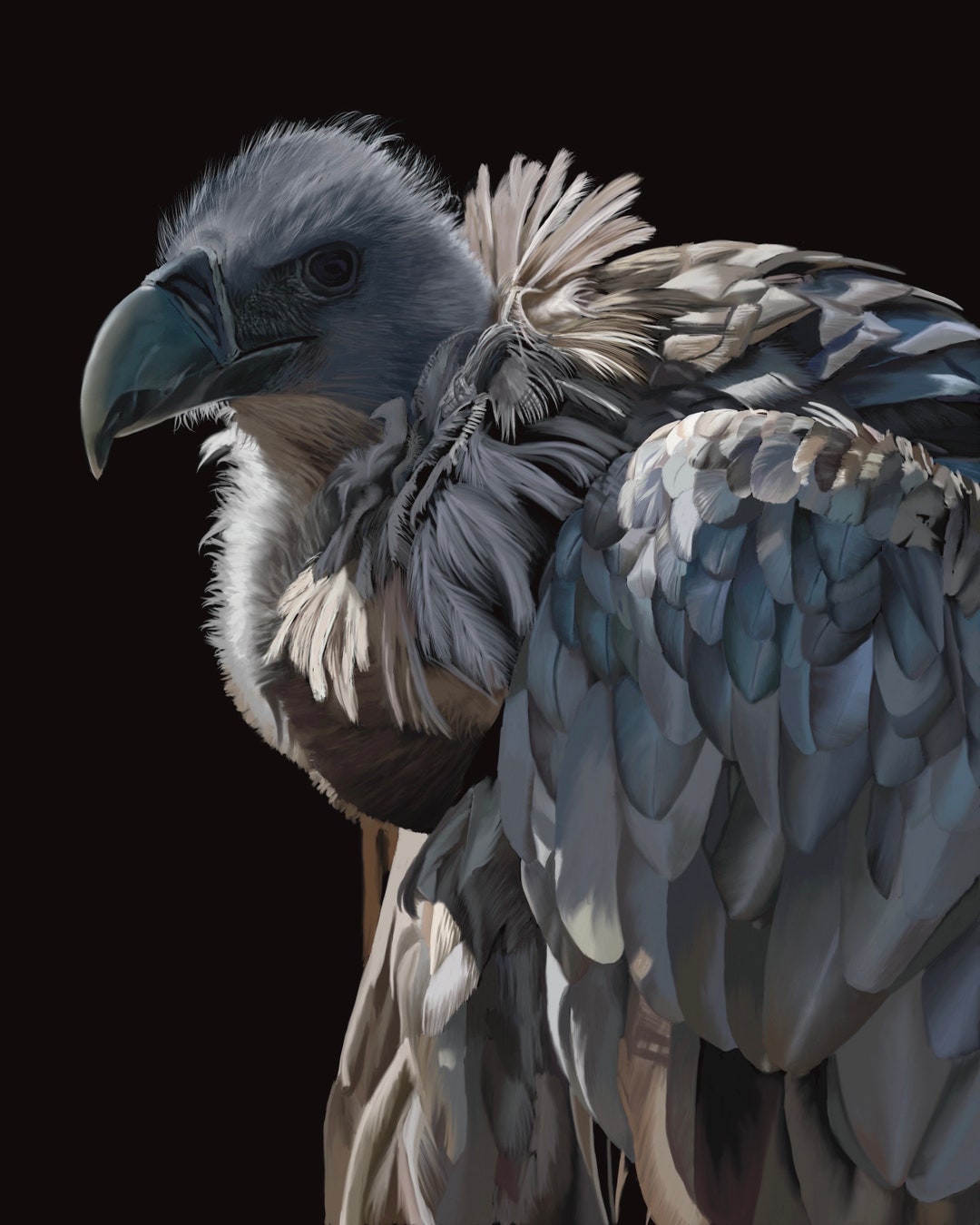 Affordable Vulture Print From Original Artwork. Unframed 8”x10” Giclee ...