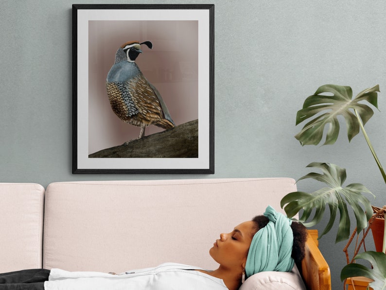 PRINTABLE California Quail Digital Art Download for Wall Art - Etsy