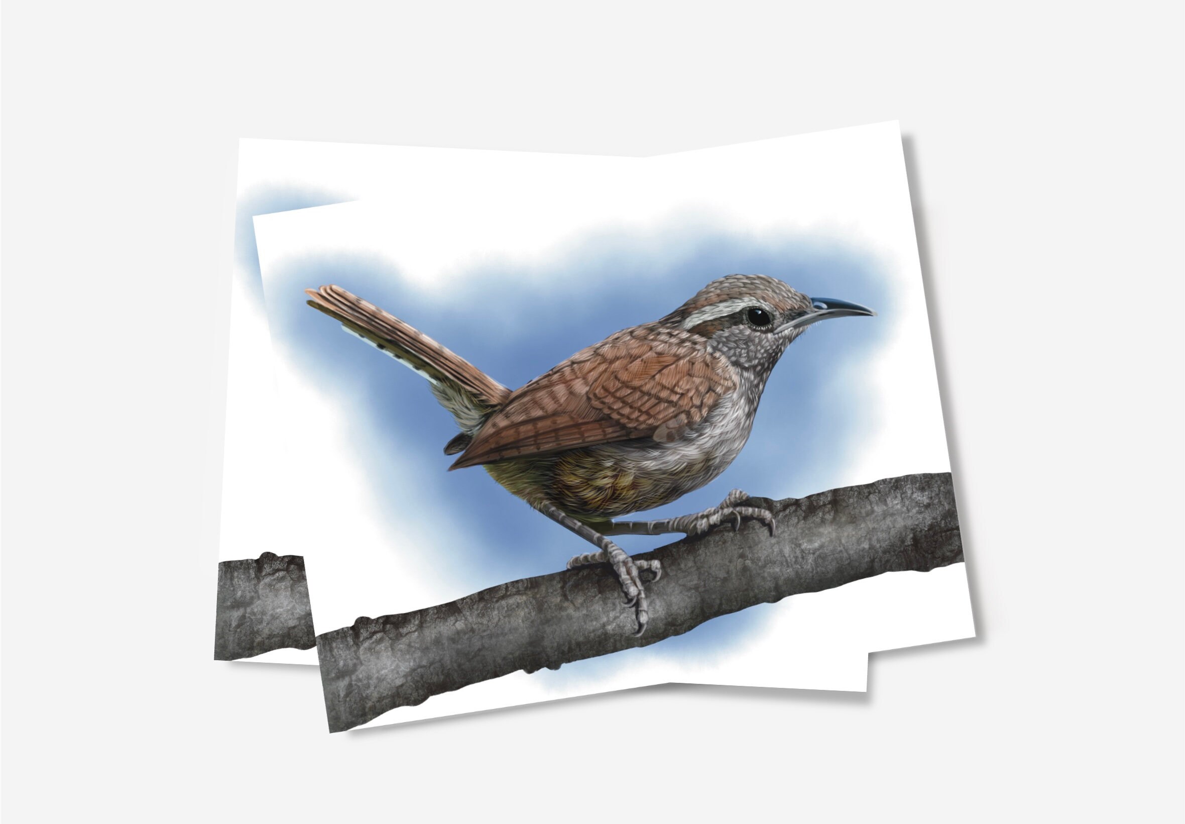 PRINTABLE Carolina Wren Digital Art Download for Home Decor, Crafts ...