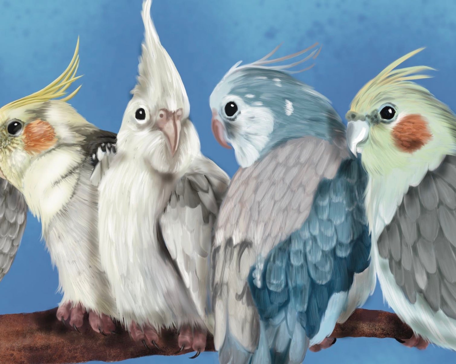 PRINTABLE Cockatiels Digital Art Download for Wall Art, Crafts, and ...