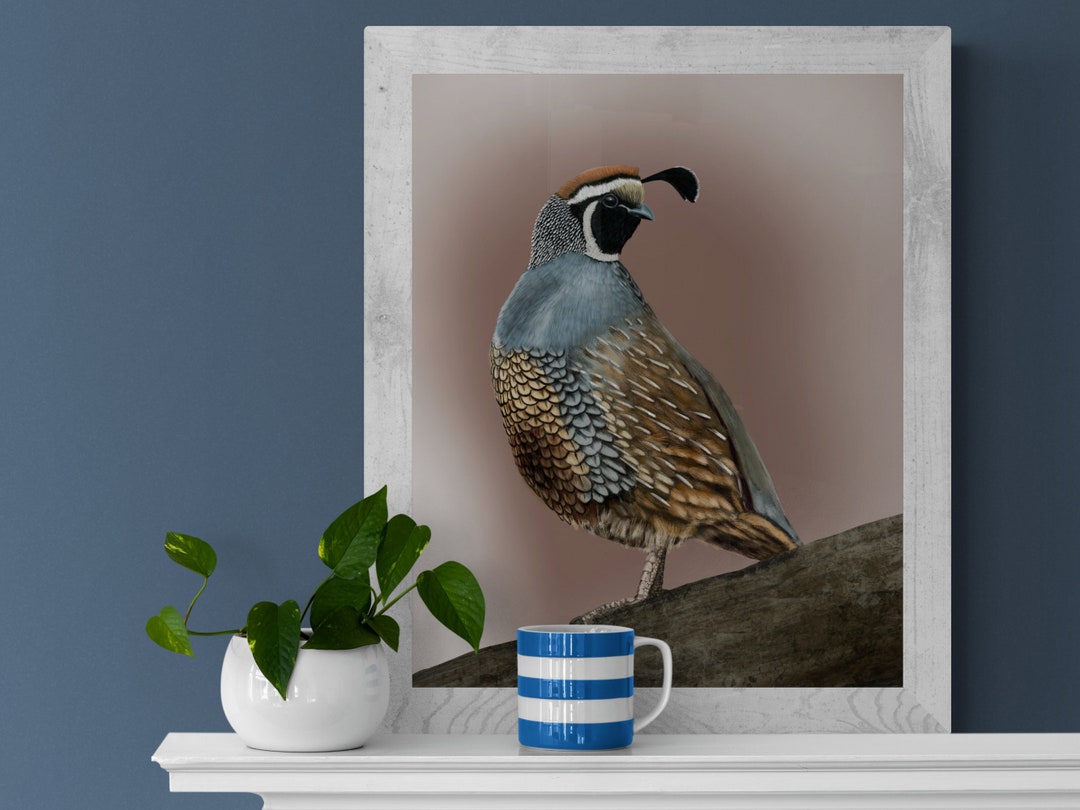 PRINTABLE California Quail Digital Art Download for Wall Art, Crafts ...