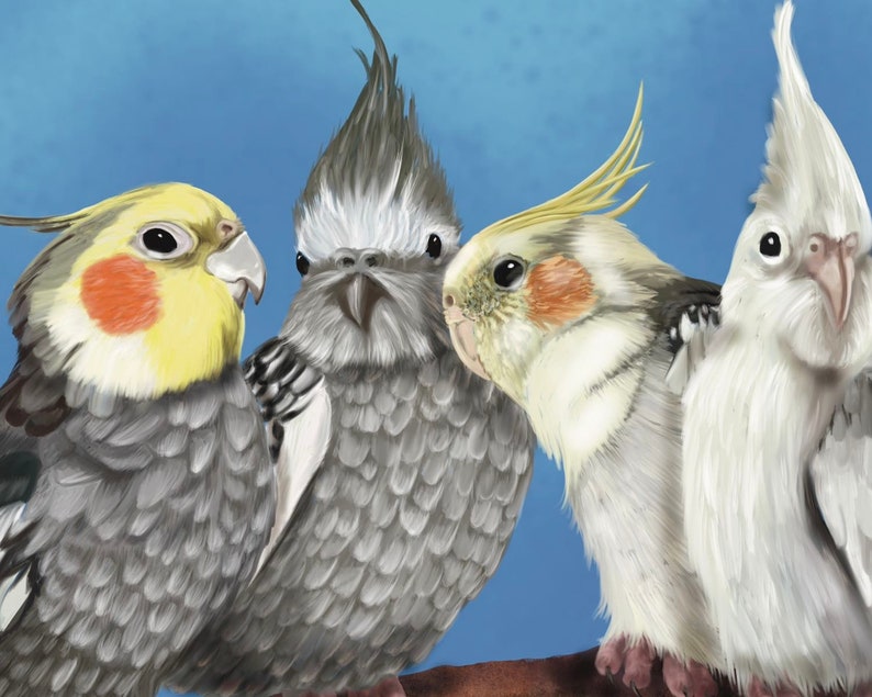 PRINTABLE Cockatiels Digital Art Download for Wall Art, Crafts, and ...