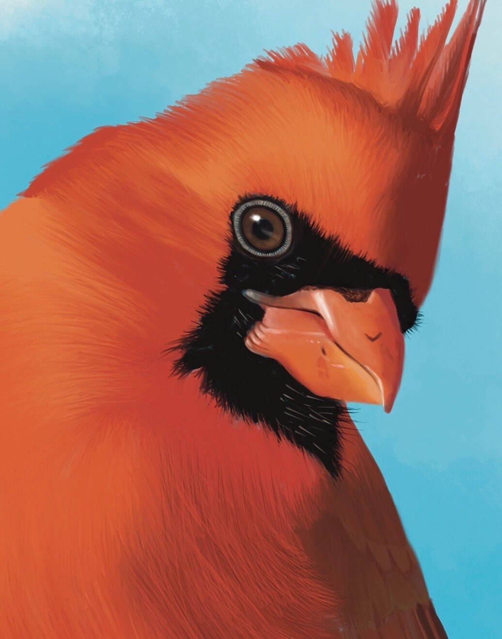 PRINTABLE Cardinal Digital Art Download for Wall Art, Craft Projects ...