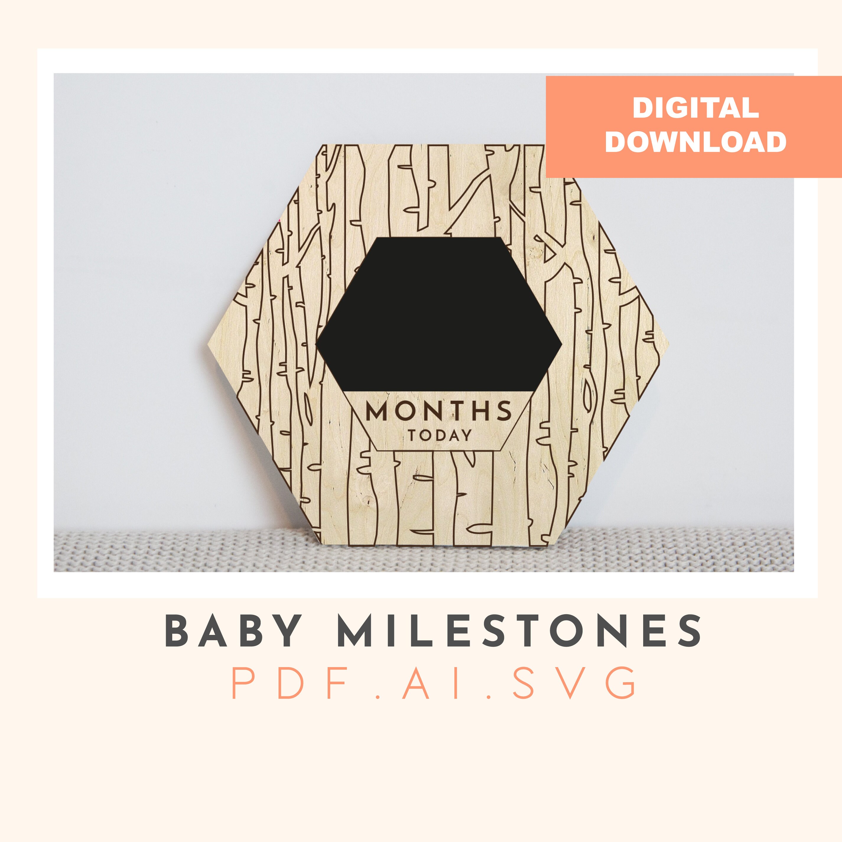 Chalk Monthly Milestone Disc Digital File, Svg File, Baby Milestone Set ...