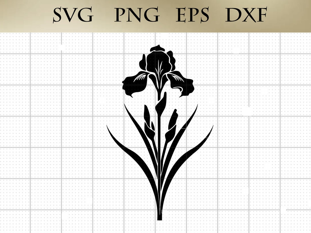 Iris SVG Png Eps Dxf Iris Flower Vector Drawing Cricut Silhouette ...