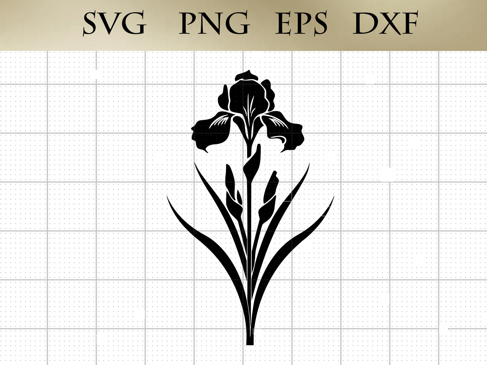 Iris SVG Png Eps Dxf Iris Flower Vector Drawing Cricut Silhouette ...