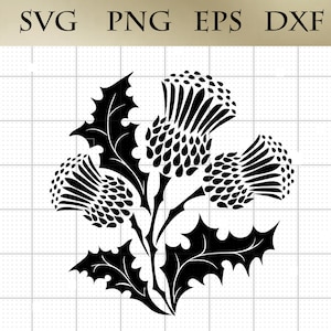 Scottish Thistle Plant Branch Bouquet SVG Png Eps Dxf Cuttable File ...
