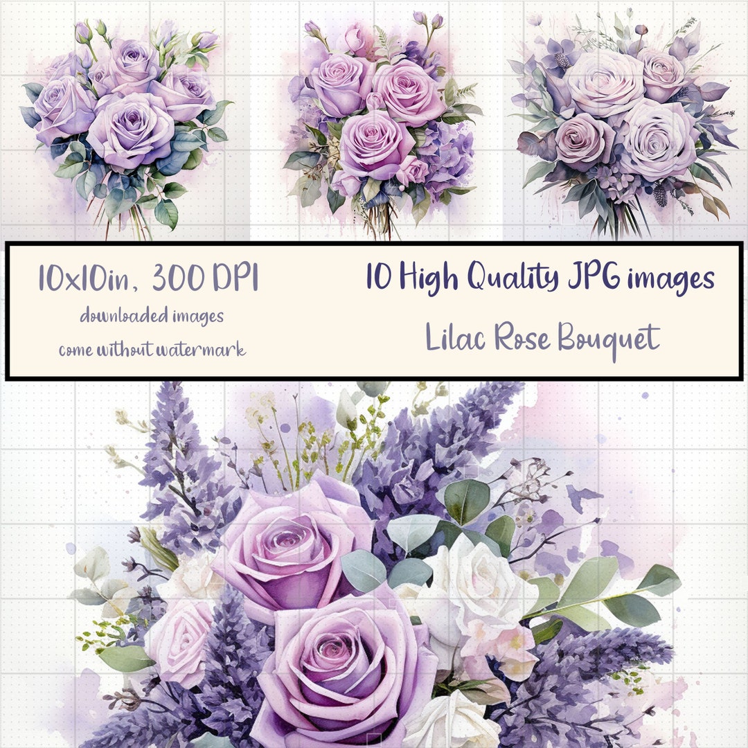 Watercolour Lilac Rose Bouquet, Bundle of 10 JPG Clipart, Light Purple ...