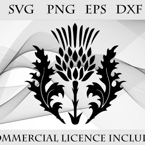 Thistle Cuttable Design SVG PNG DXF & Eps Designs Cricut Cameo - Etsy