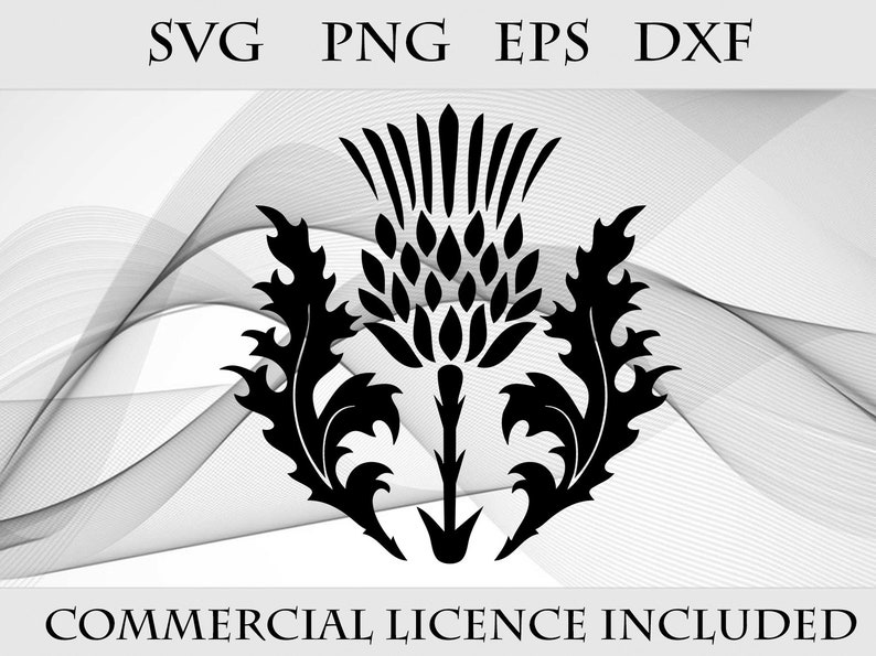 Scottish Thistle SVG Png Eps Dxf Cuttable File Cricut - Etsy UK